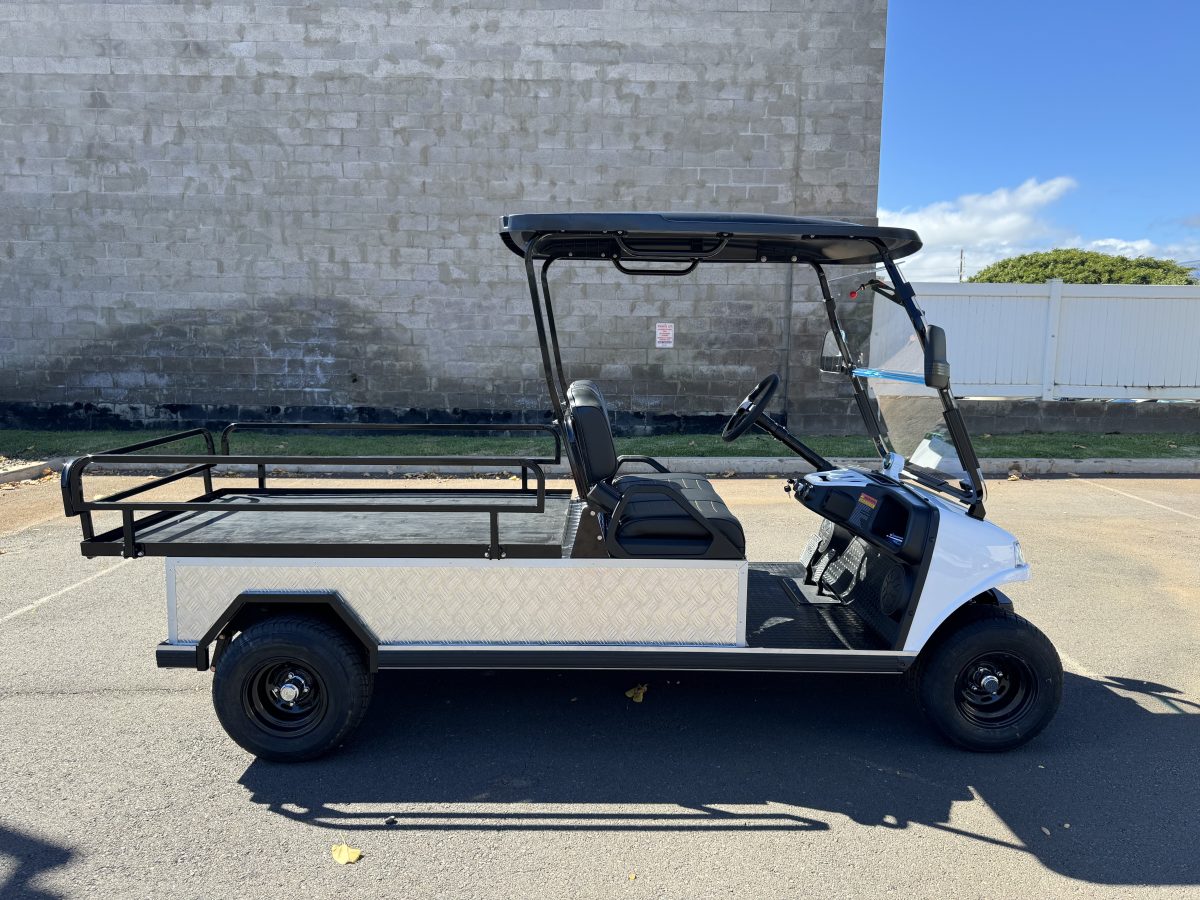 Everything you Need to Know About Golf Cart Financing in Hawaii | 808 ...